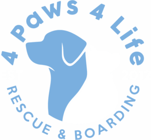 Animal Adoption Events in Colorado | 4 Paws 4 Life