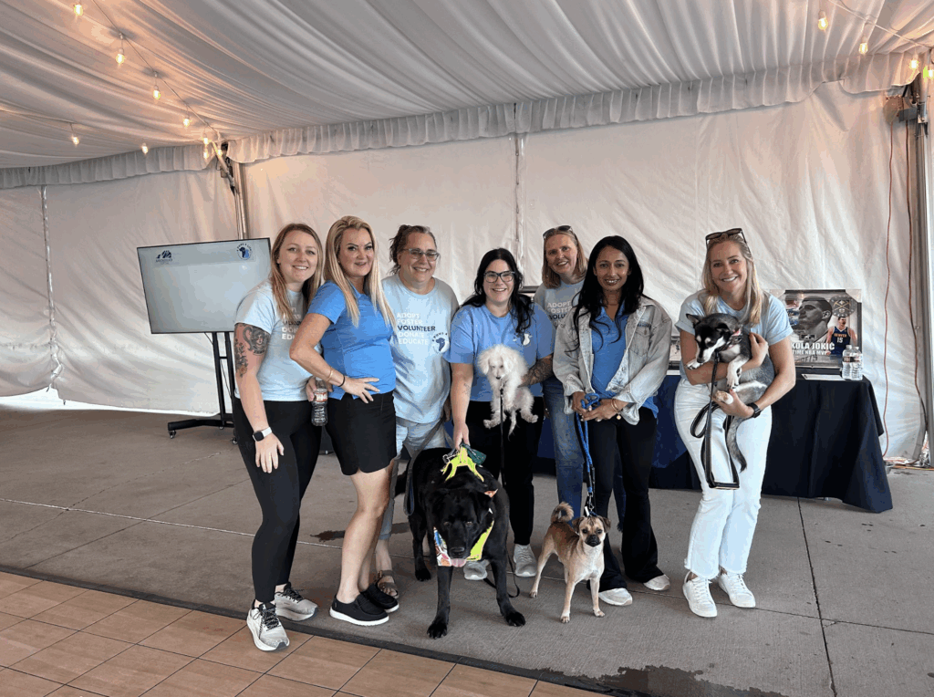 Animal Rescue Impact in Colorado | 4 Paws 4 Life